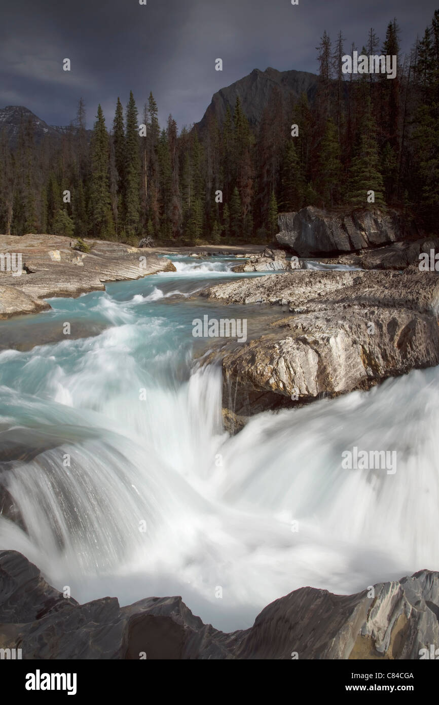 Natural bridge, Yoho national park, alberta, Canada Stock Photo - Alamy