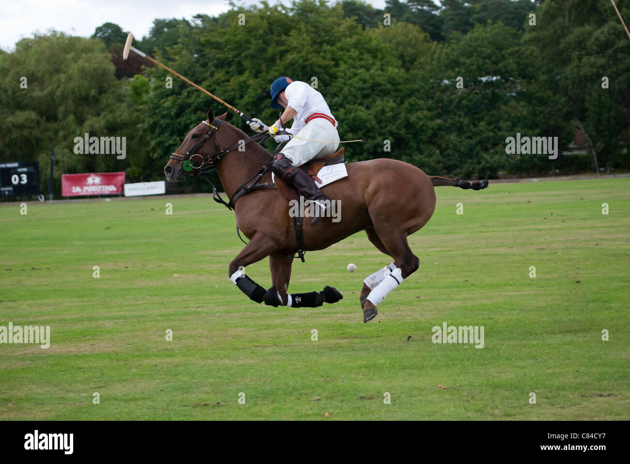 polo player rider horse Sandhurst warmblood game Stock Photo - Alamy