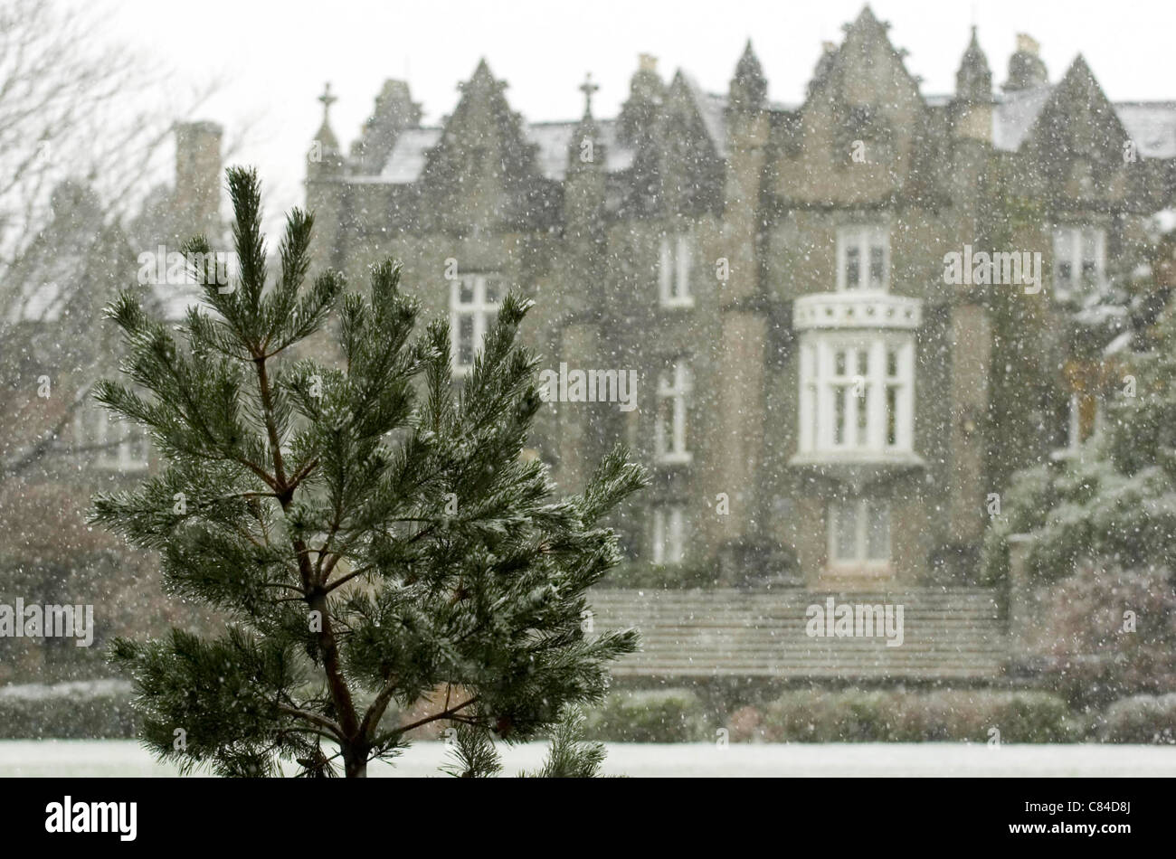 Singleton Abbey on Swansea University campus in the snow Stock Photo ...