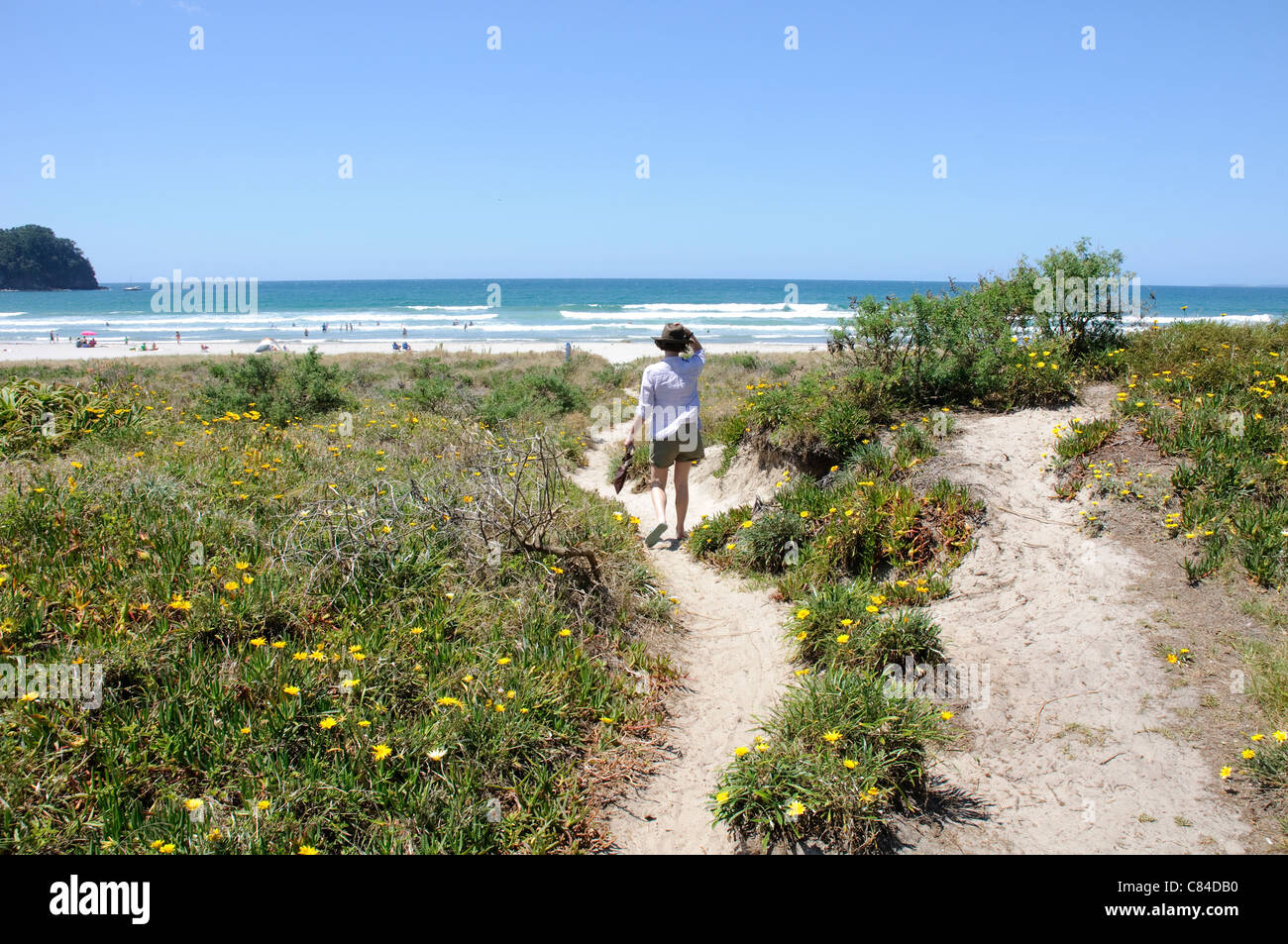 Papamoa beach new zealand hi-res stock photography and images - Alamy