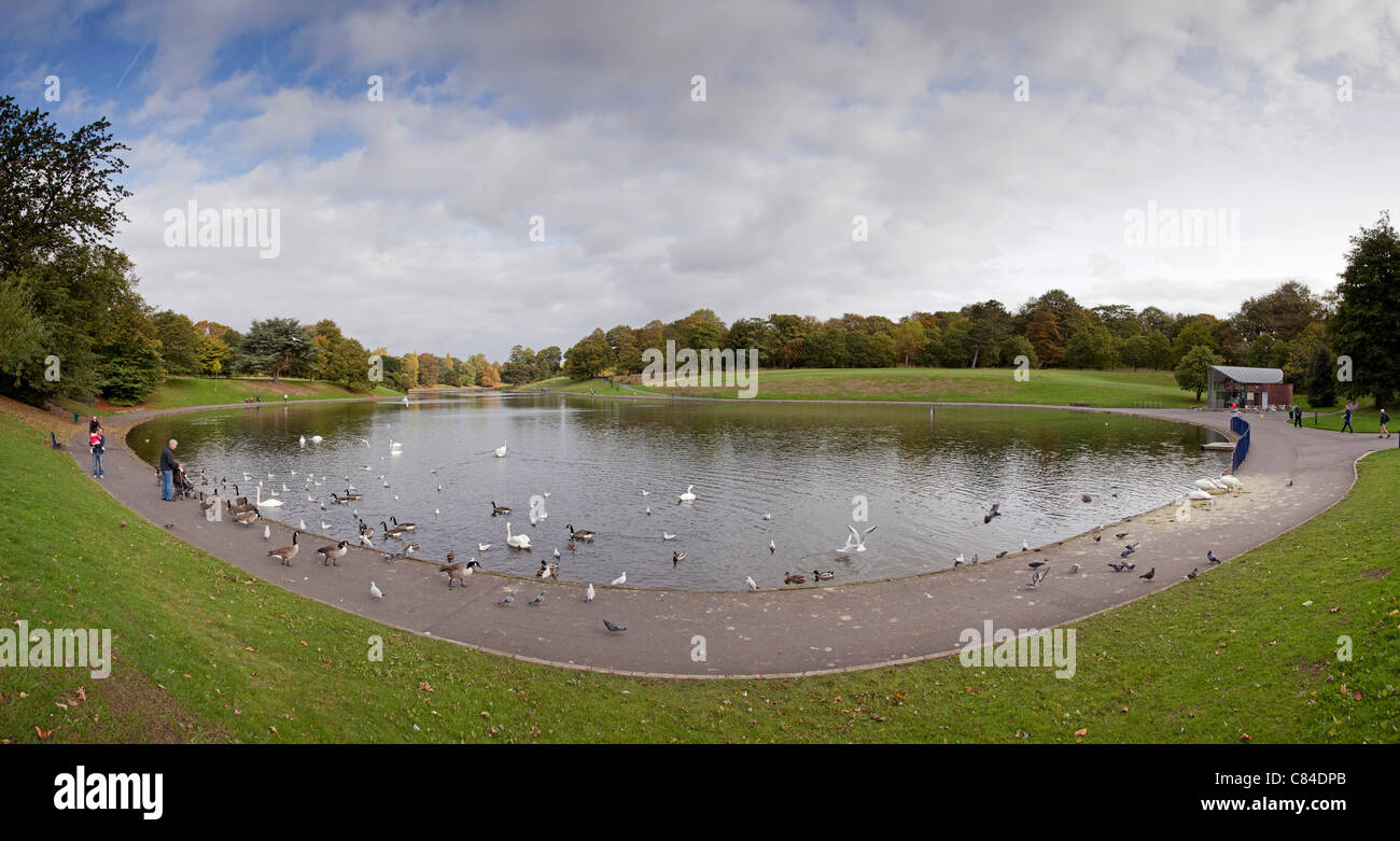Sefton park liverpool lake hi-res stock photography and images - Alamy