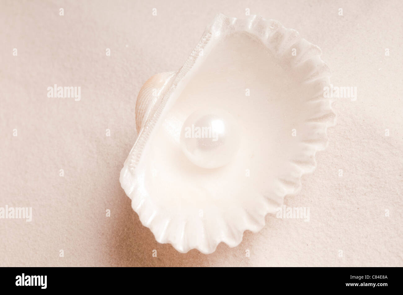 pearl in a shell Stock Photo - Alamy