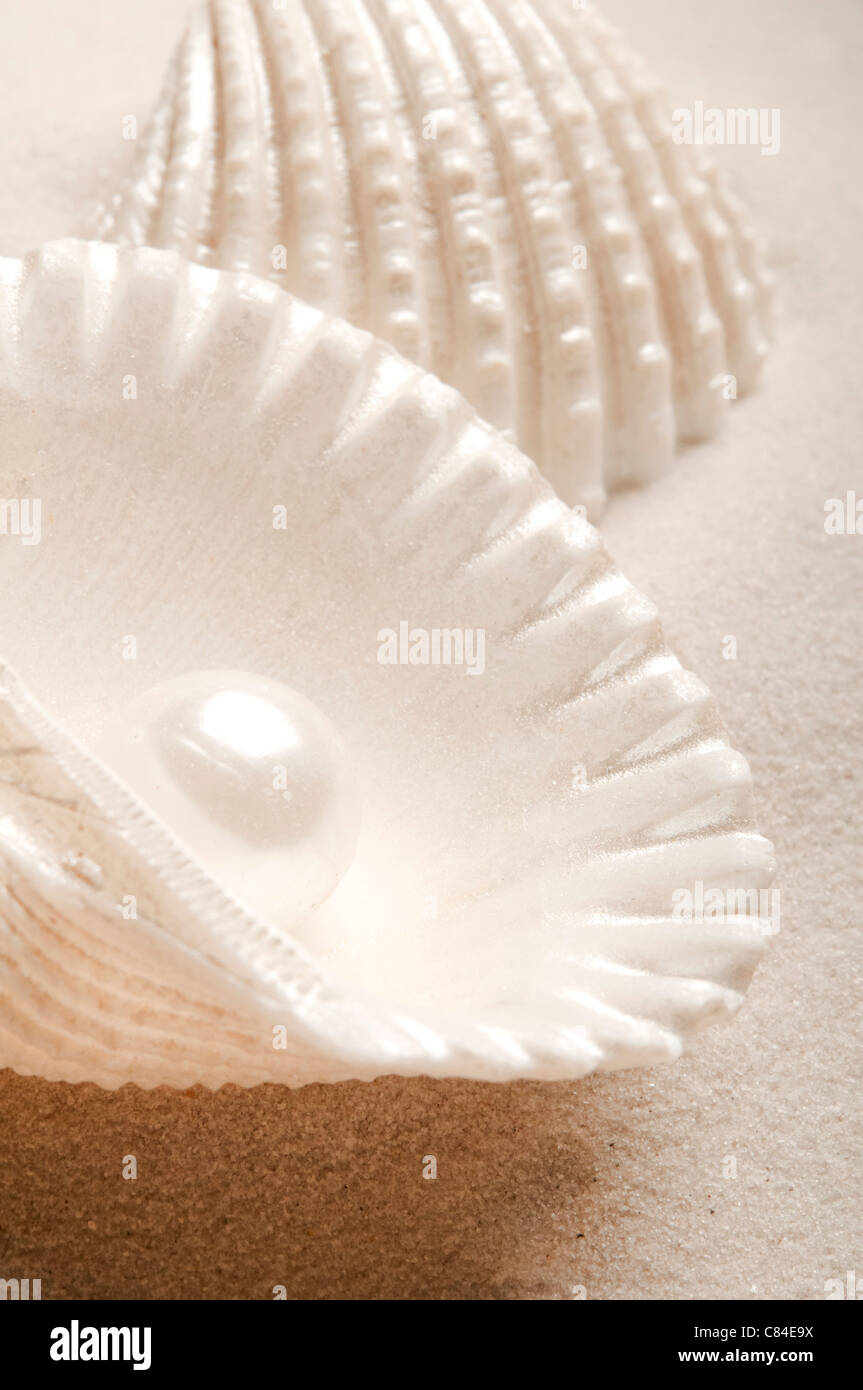 pearl in a shell Stock Photo - Alamy