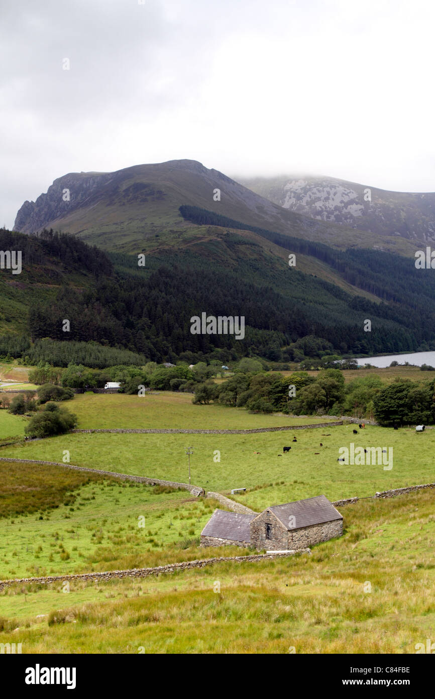 Cottages and farms in the mountains of North Wales UK Stock Photo - Alamy