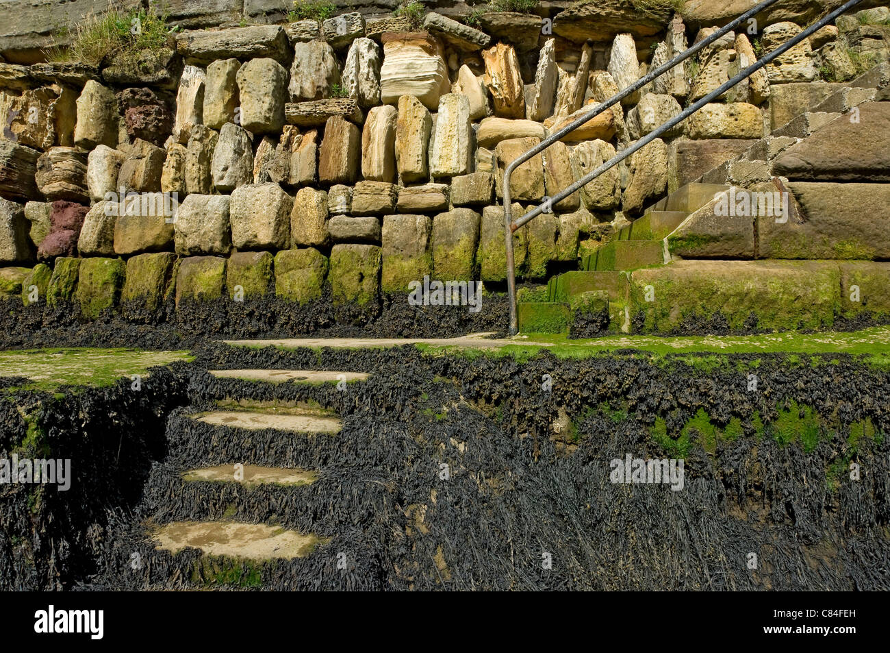 Seaweed covered wall hi-res stock photography and images - Alamy