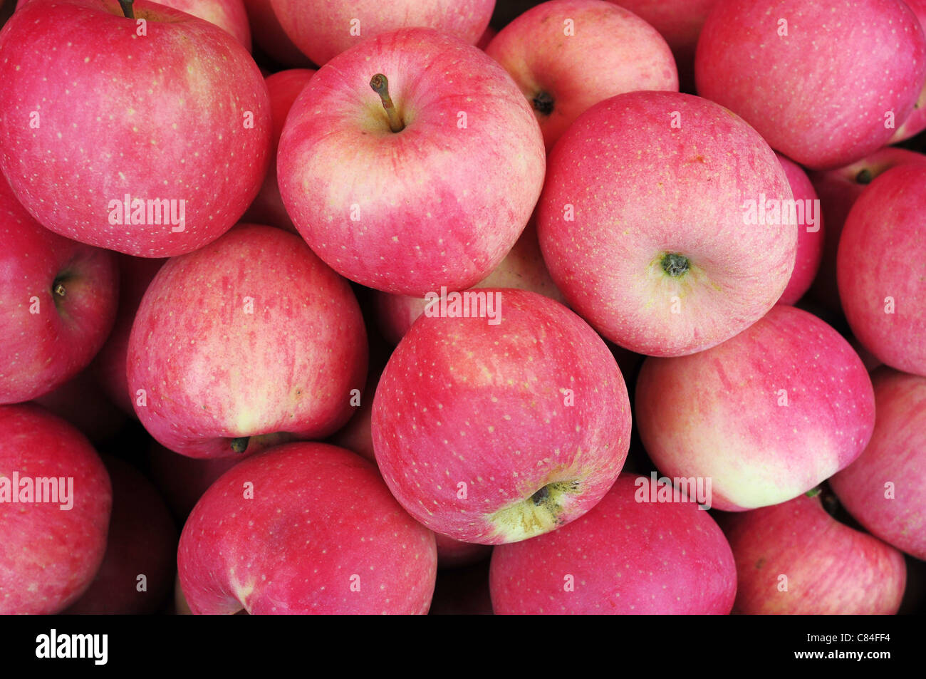 Apple red market row pile group fruits juicy hi-res stock photography ...