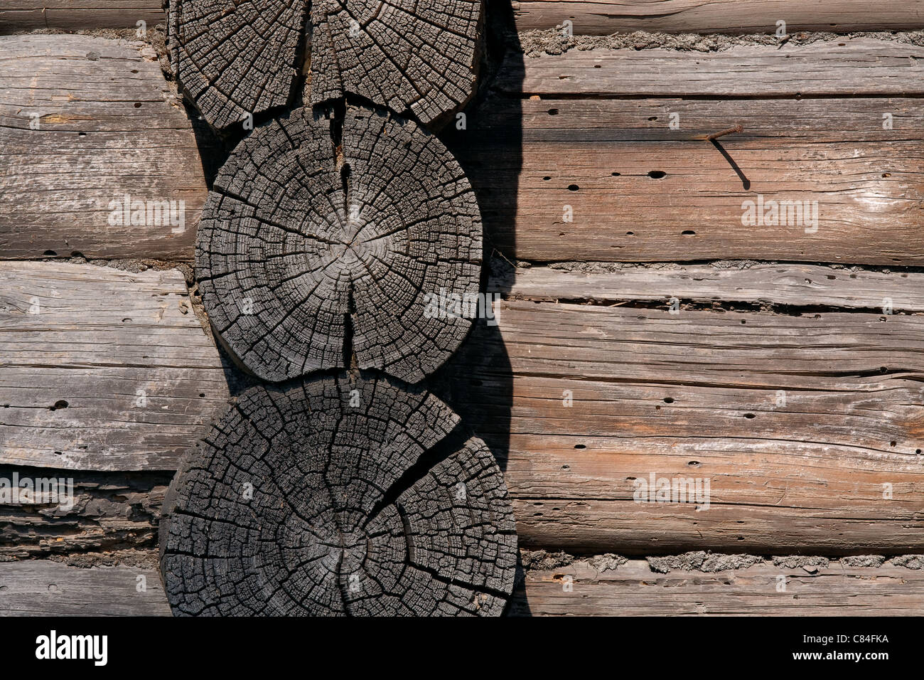 Old logs cracked from age in the wall of timbered house. Holes of ...