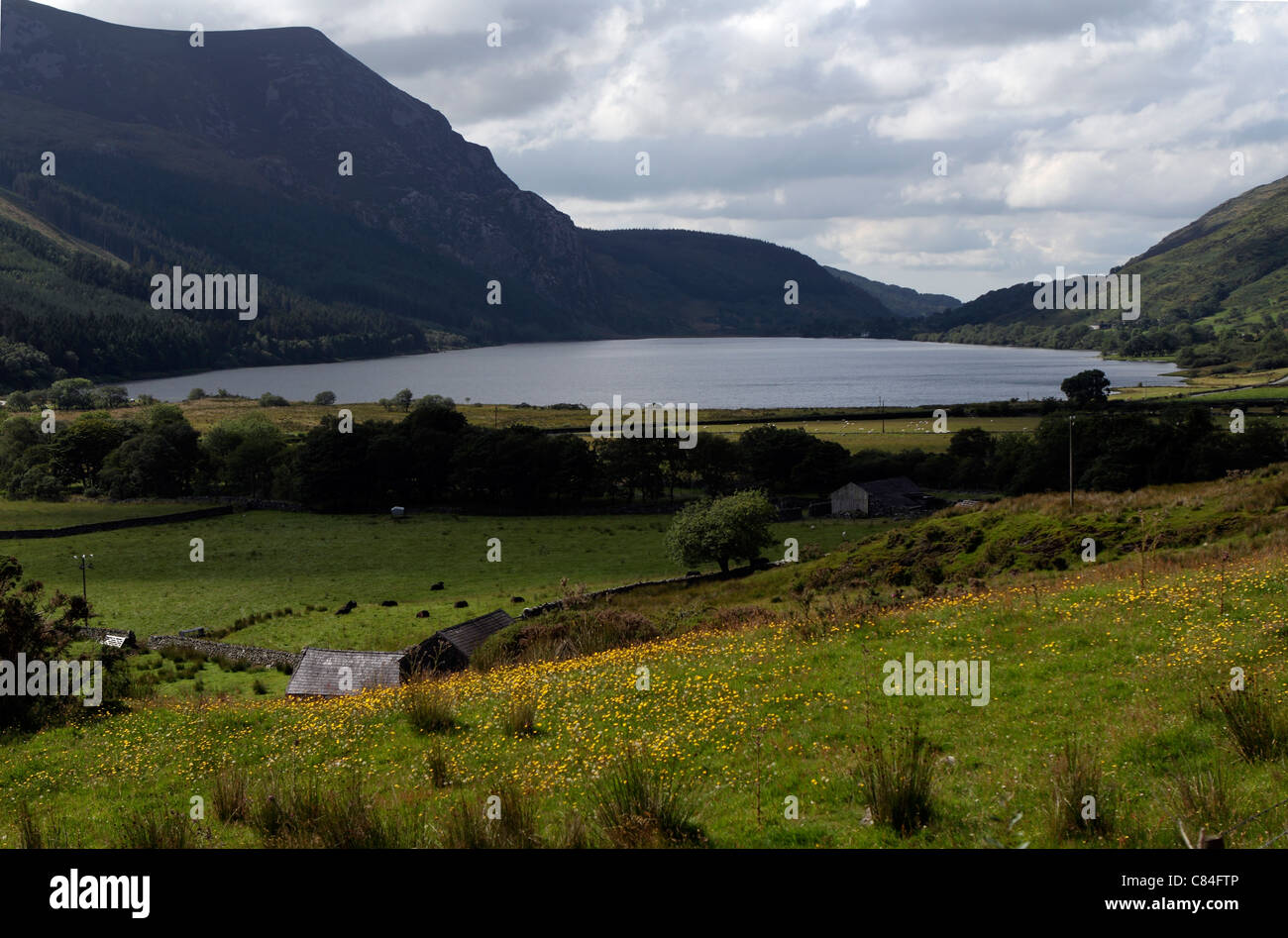 Cottages and farms in the mountains of North Wales UK Stock Photo - Alamy