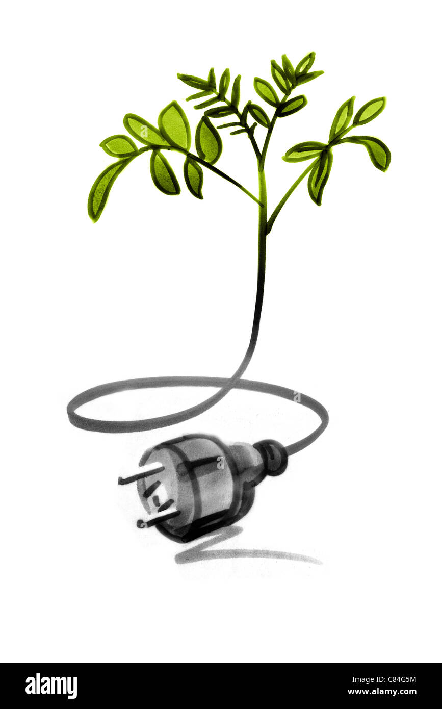 Tree sapling connected with electric cable and plug Stock Photo - Alamy