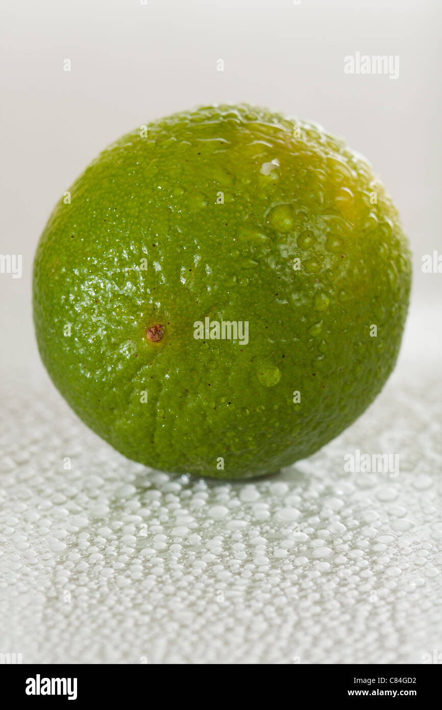 Lime with water drops on white Stock Photo - Alamy