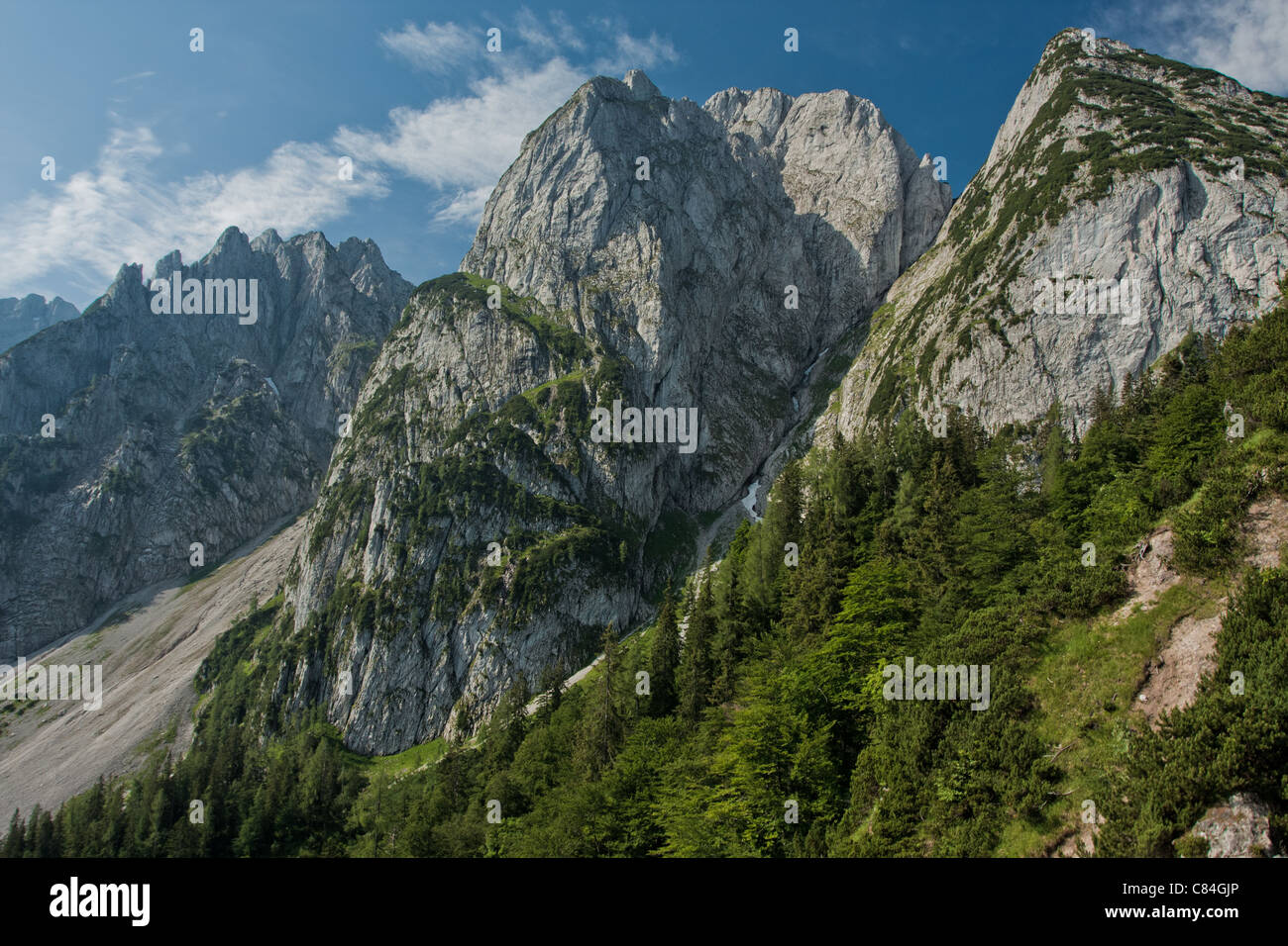 Donnerkogel Gosaukamm Mountains in Austria with green trees Stock Photo ...