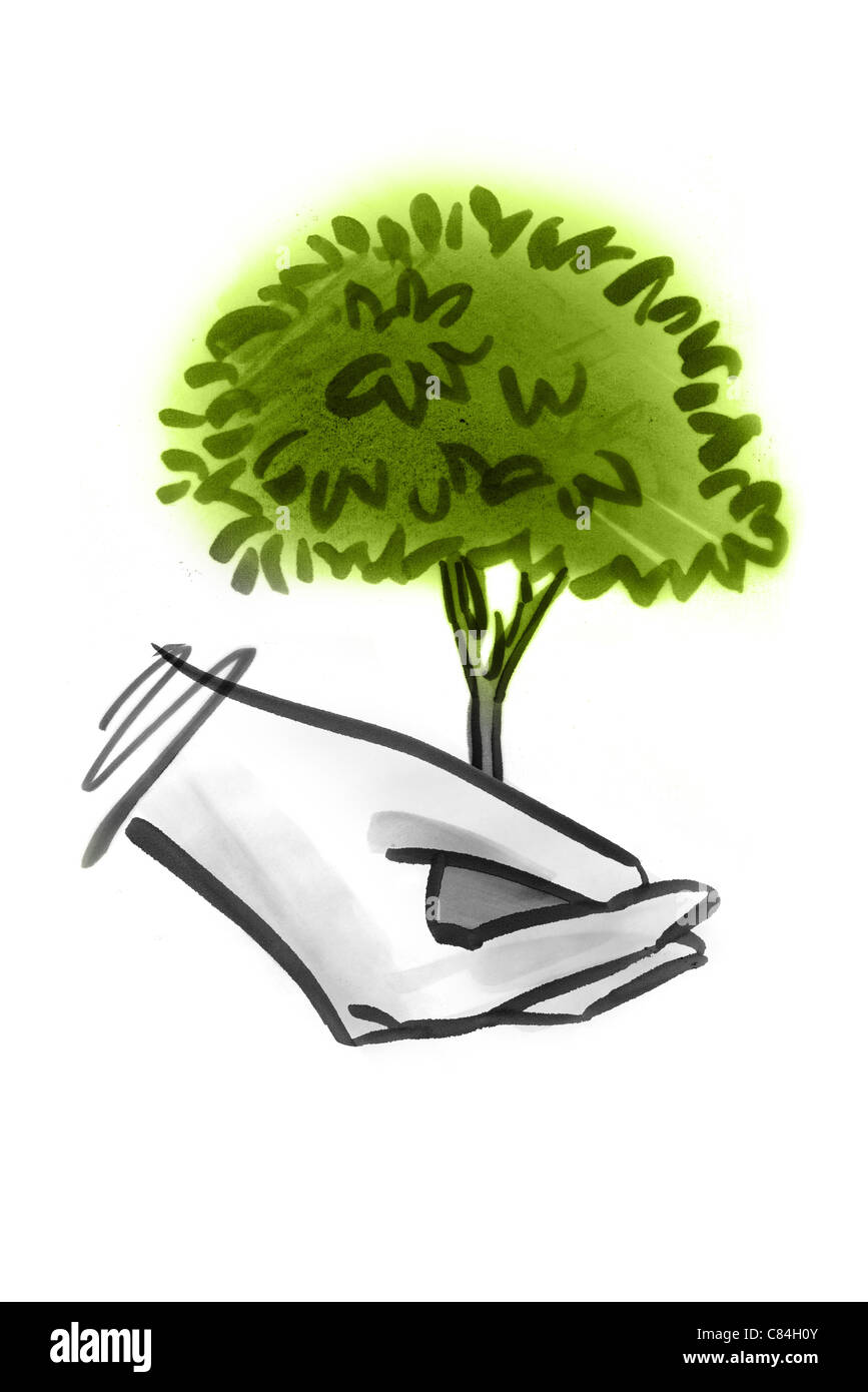 Tree Sapling Drawing