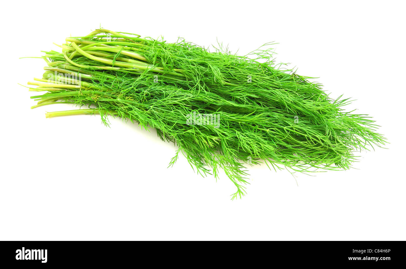 fennel on a white background Stock Photo - Alamy