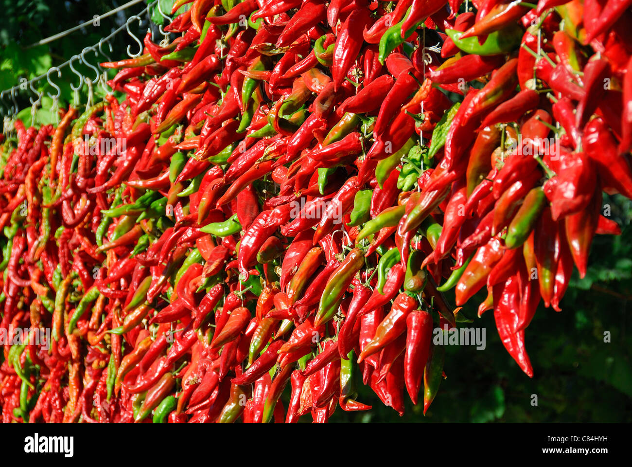 Chilli peppers drying hot hi-res stock photography and images - Alamy
