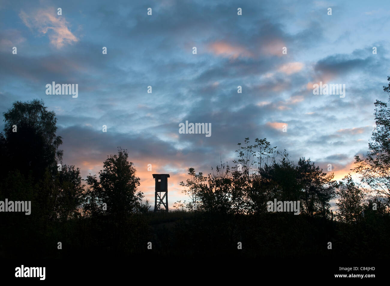 Dawn hunt hi-res stock photography and images - Alamy