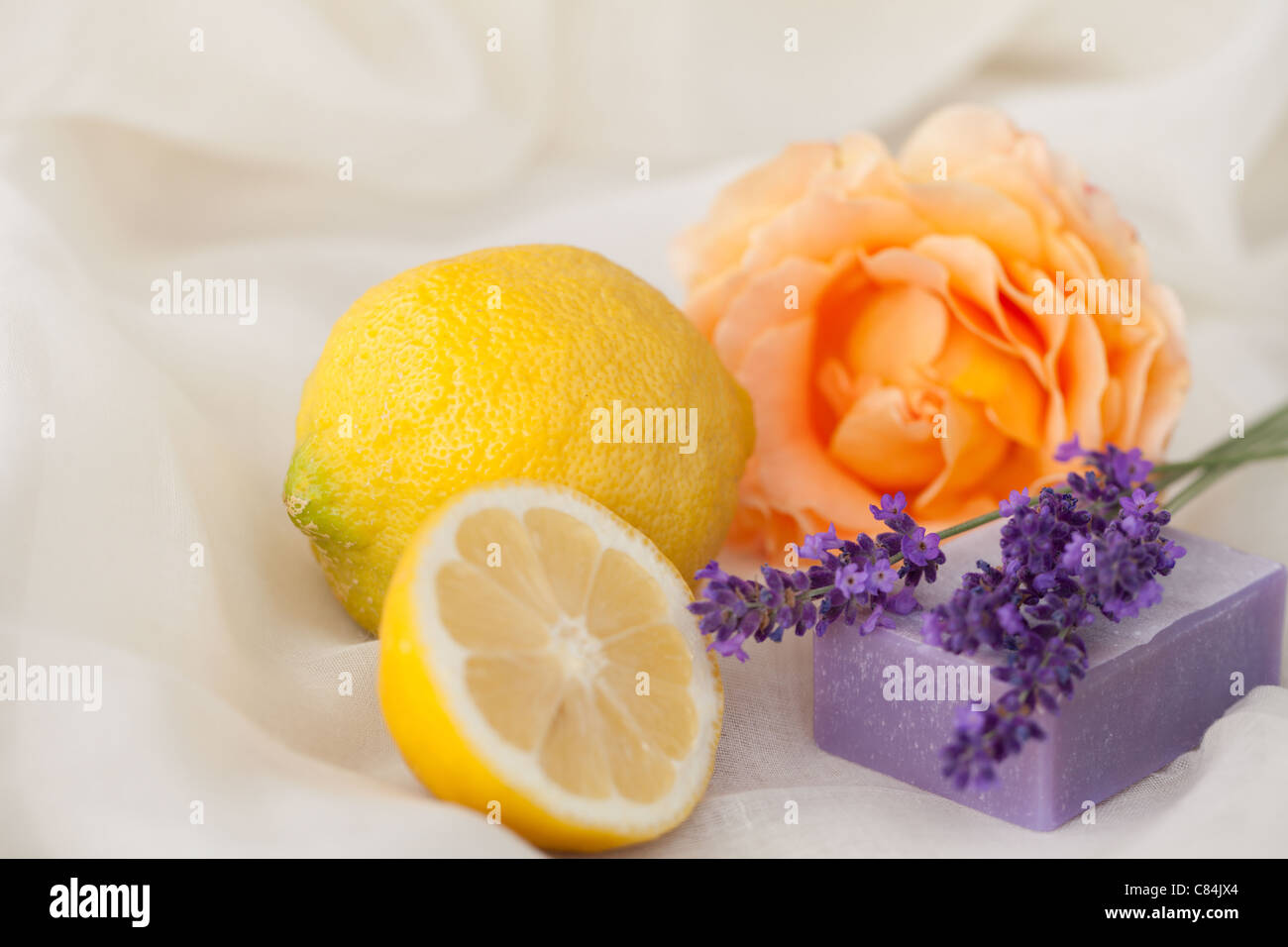 Lemon yellow rose hi-res stock photography and images - Alamy