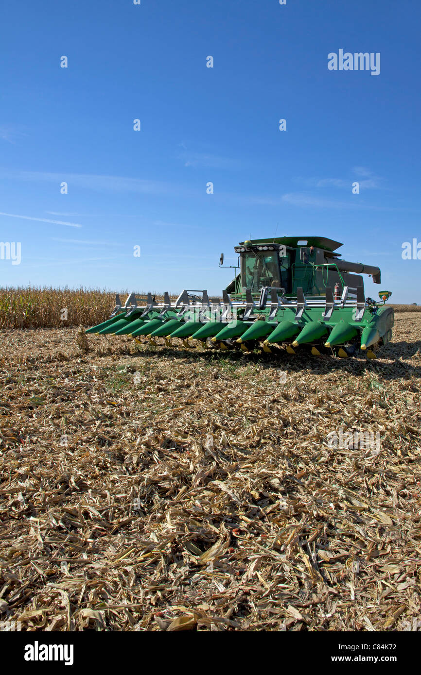 Corn Harvest Midwest USA Stock Photo - Alamy