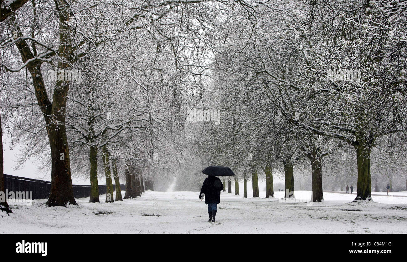 Windsor Great Park Winter Stock Photos & Windsor Great Park Winter ...