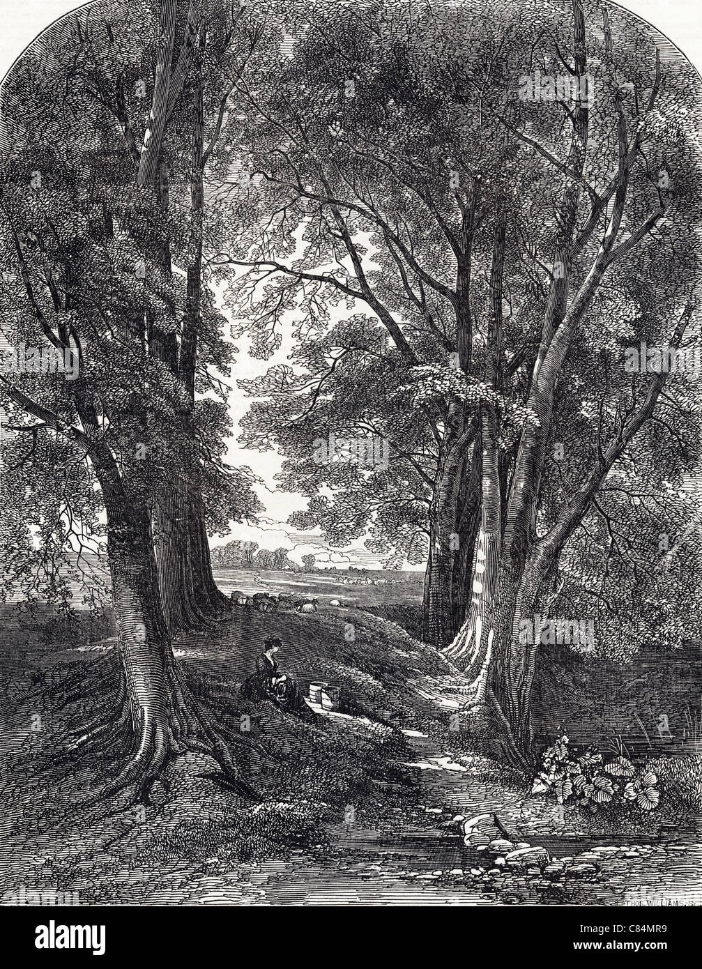 Victorian engraving circa 1849 of THE SHADE OF THE BEECH TREES painted ...