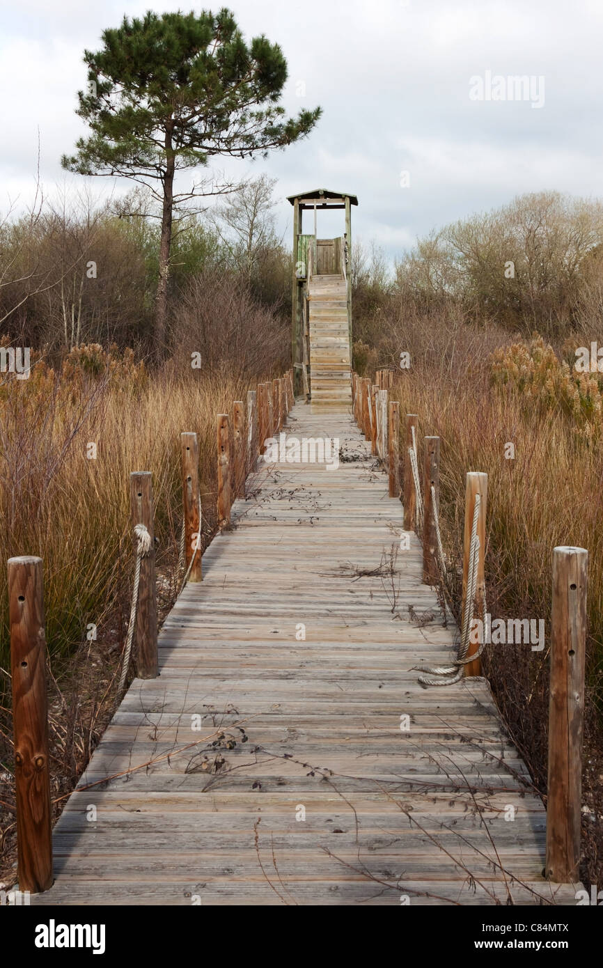 Wooden watchtower hi-res stock photography and images - Alamy