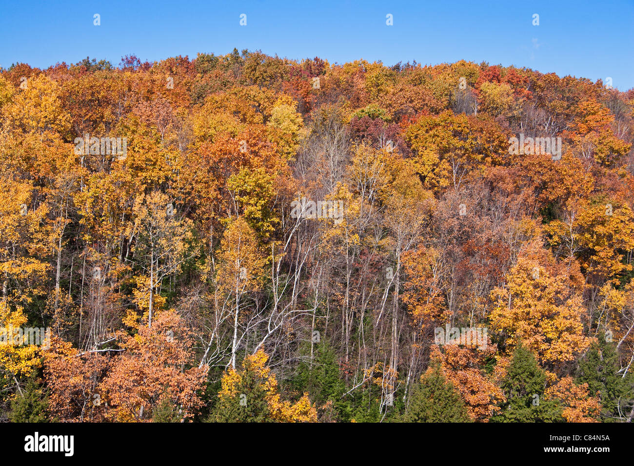 New England Fall, near French King Bridge, Massachusetts, USA Stock ...