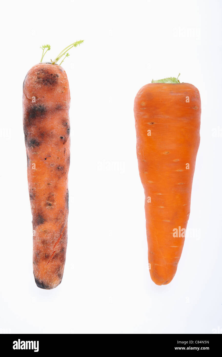 Rotting Carrot High Resolution Stock Photography and Images - Alamy