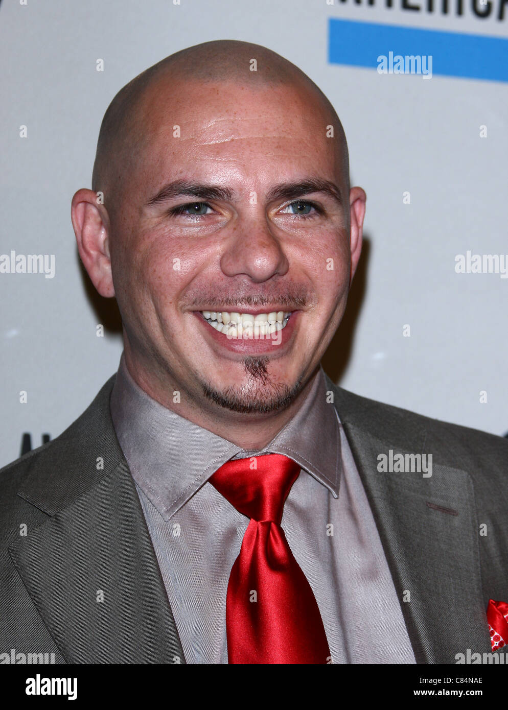 American pitbull hi-res stock photography and images - Alamy