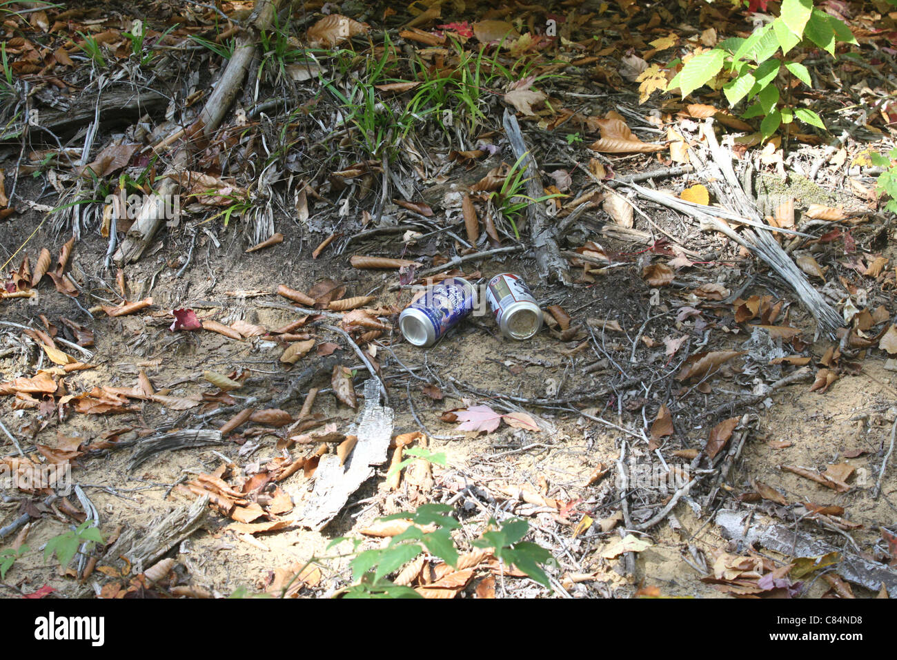 Littered Ground High Resolution Stock Photography and Images - Alamy