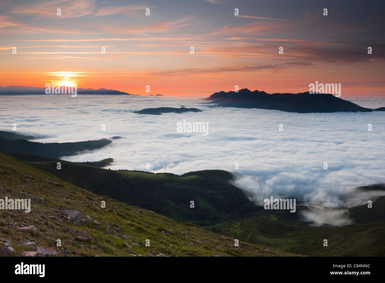 Aerial view of fog over rural landscape Stock Photo - Alamy