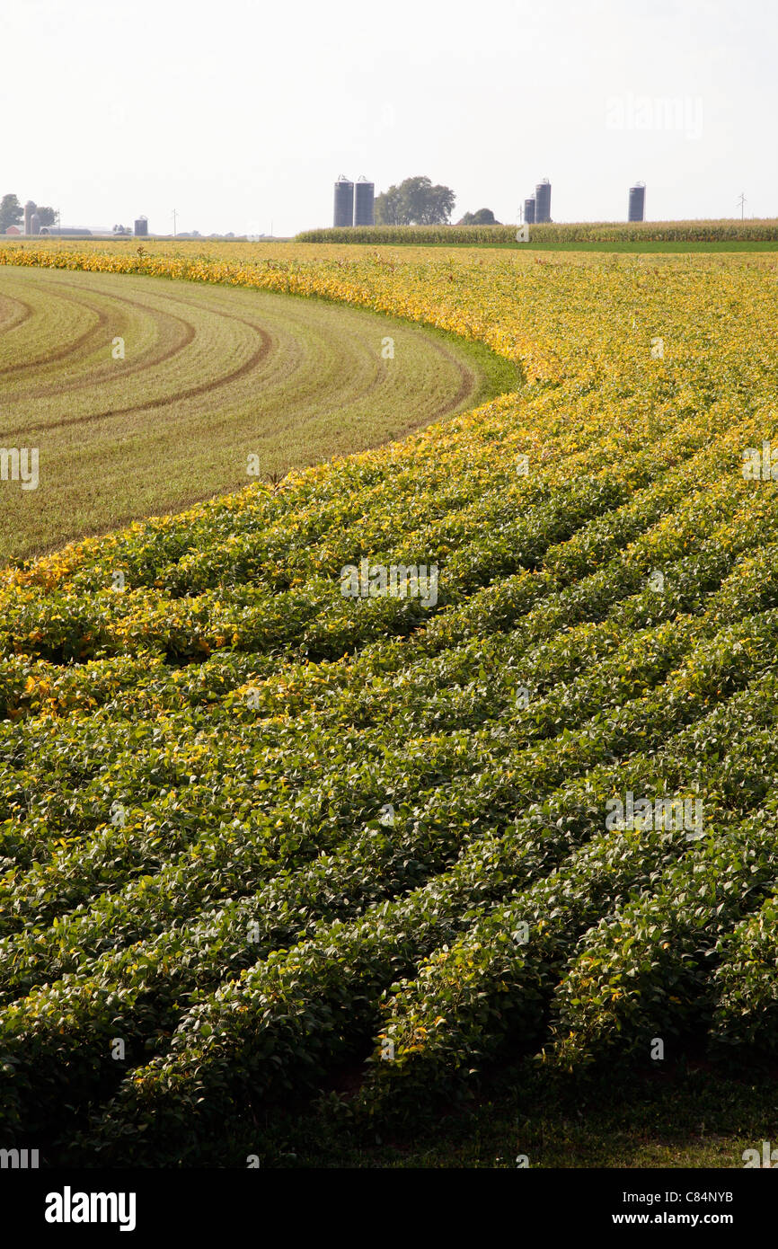 Farm and field agriculture in southeast Minnesota USA Stock Photo - Alamy