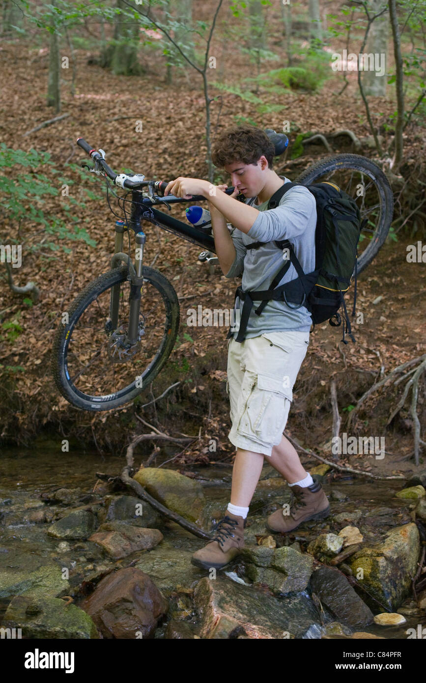 Stream carries down hi-res stock photography and images - Alamy