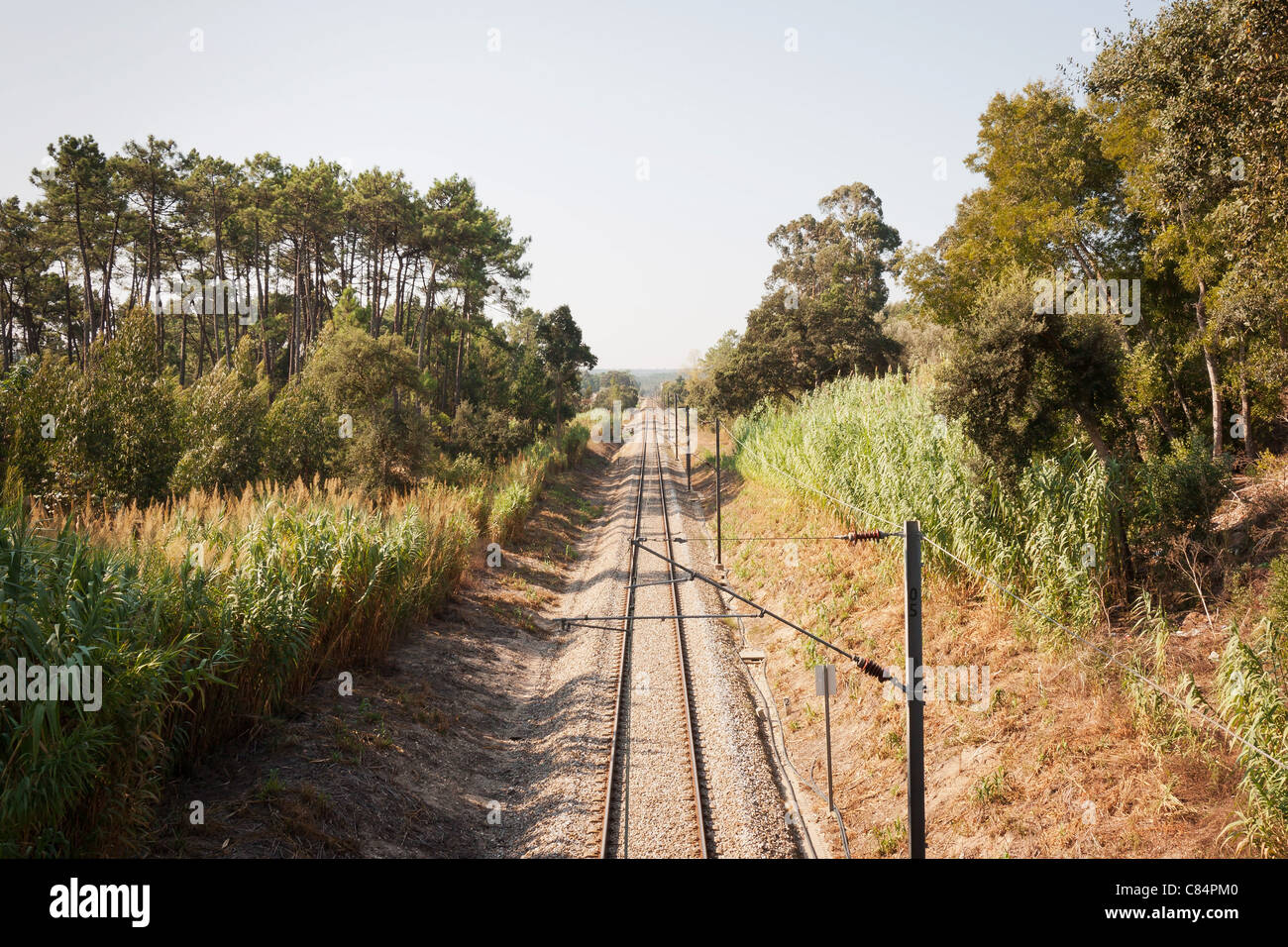 Aerial view of empty railway track through woods, in Portugal Stock ...