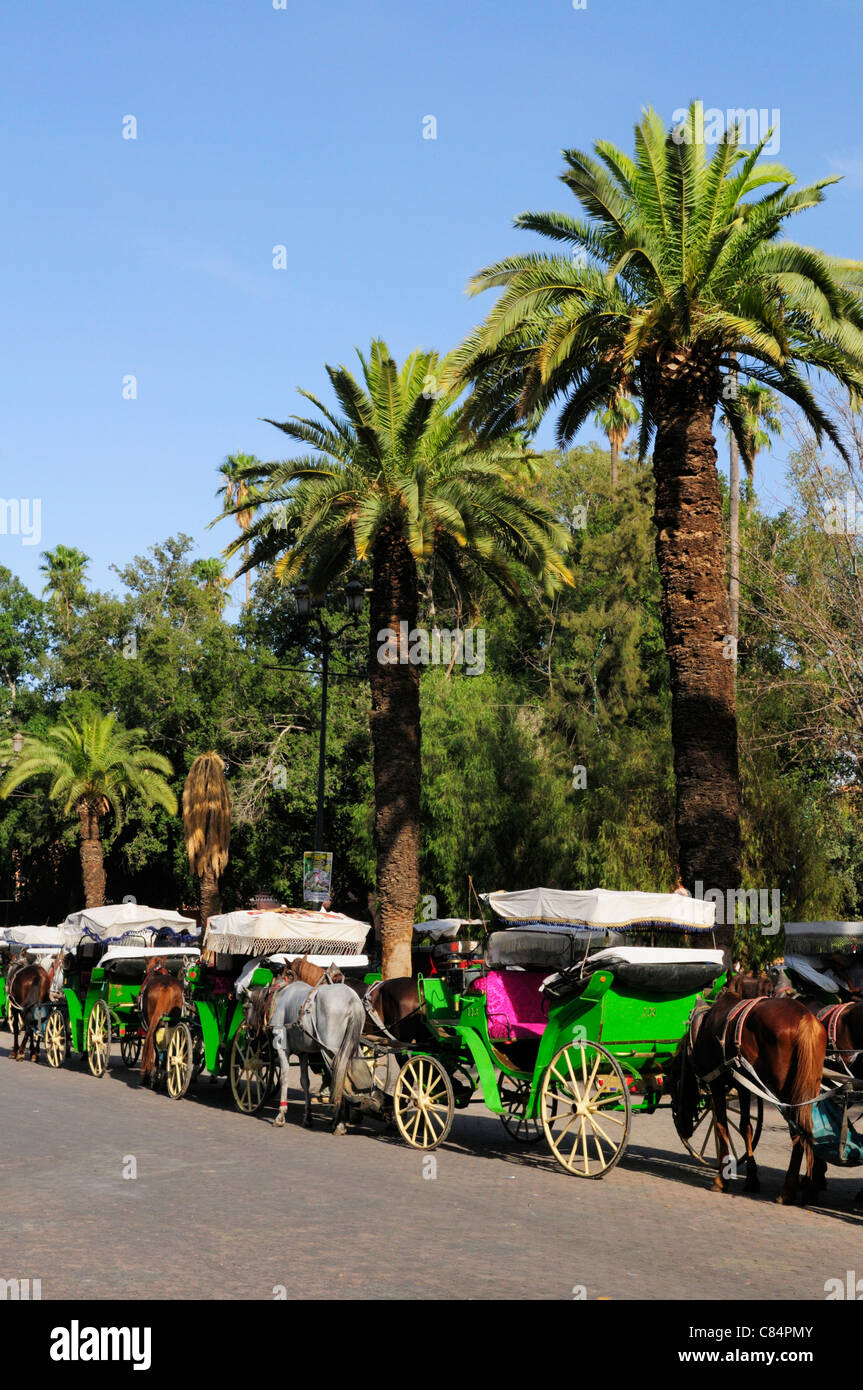 Caleches and marrakech hi-res stock photography and images - Alamy