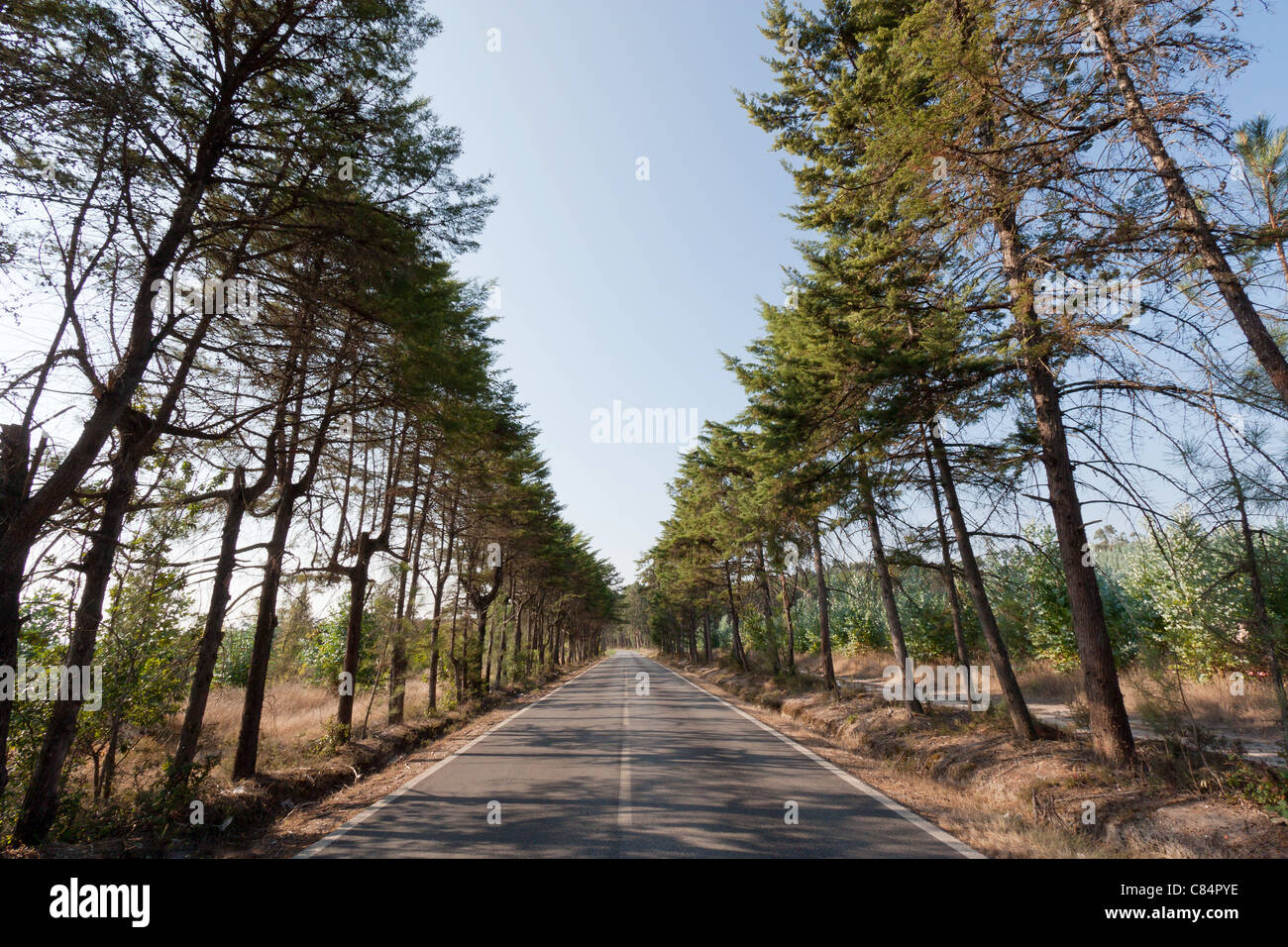 Driving in highway portugal hi-res stock photography and images - Alamy