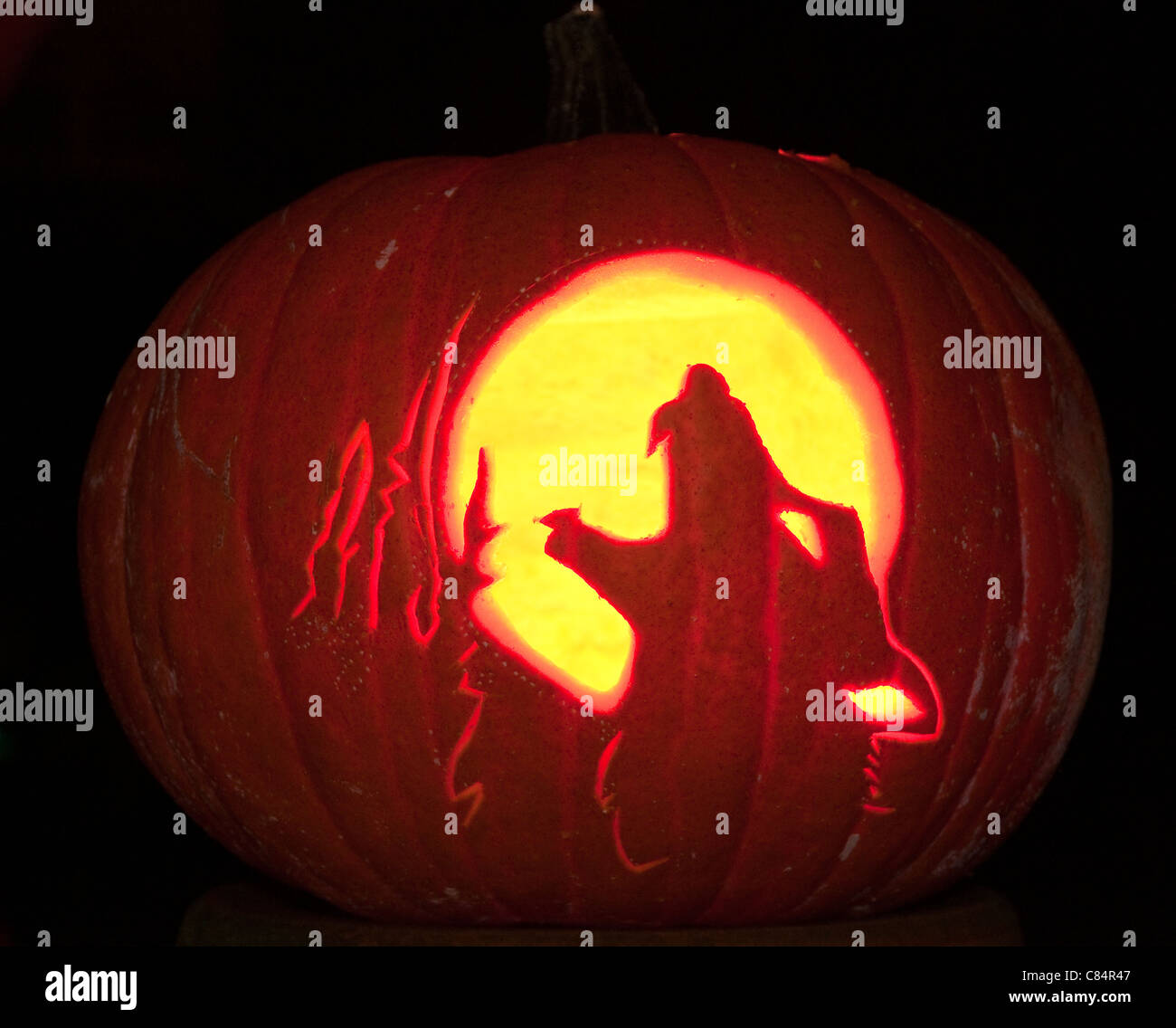 Werewolf Pumpkin Carving