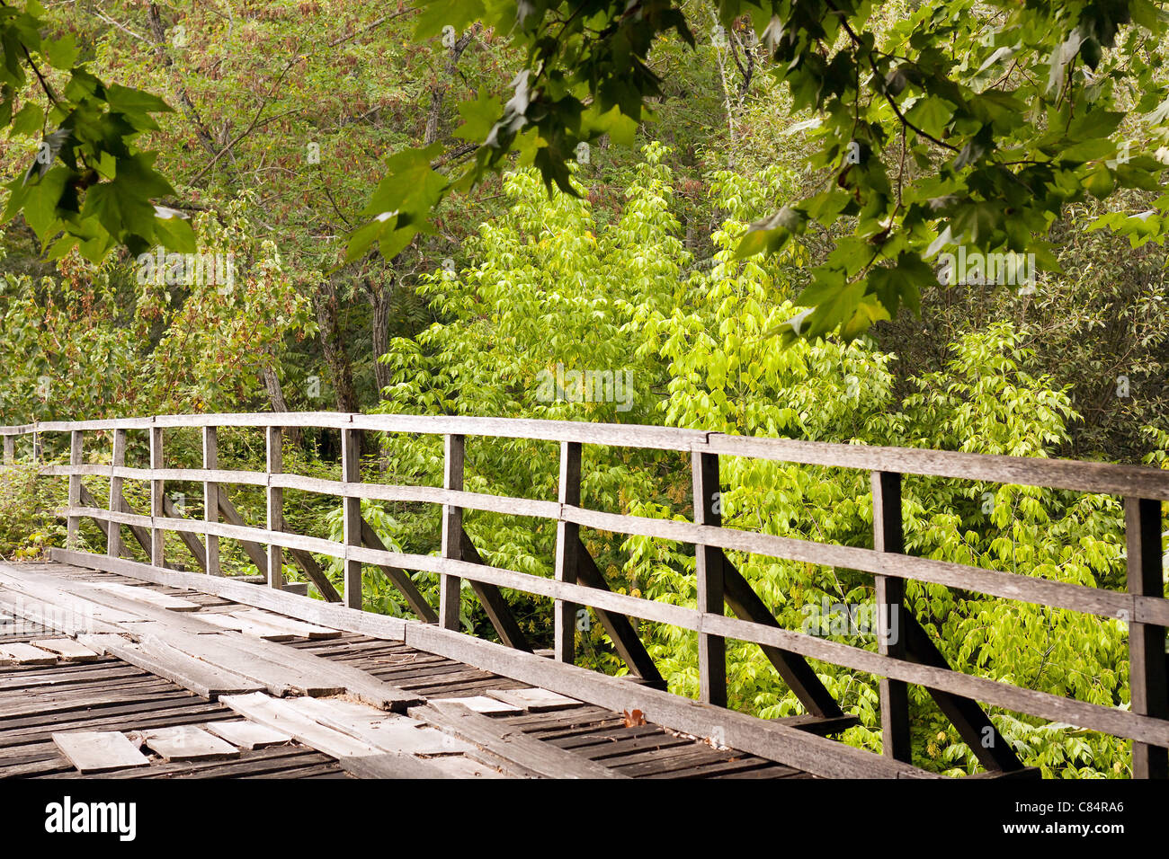 Wooden bridge against trees and falling leaves Stock Photo - Alamy