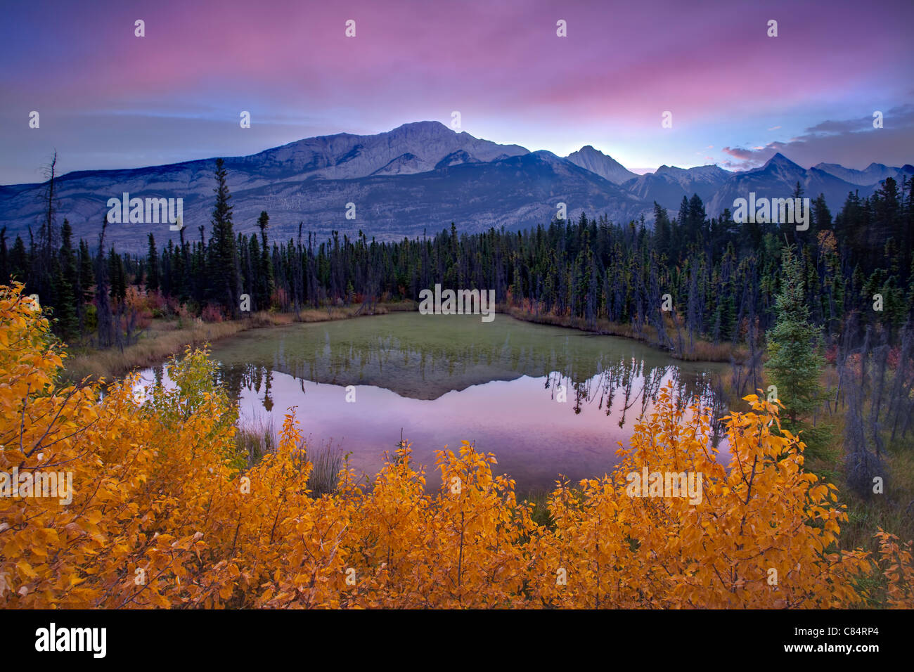Colin range hi-res stock photography and images - Alamy
