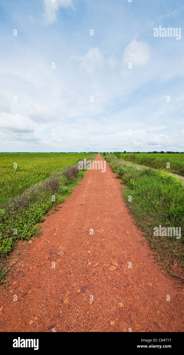 Dirt road through the rice fields in Sisophon, Cambodia Stock Photo - Alamy