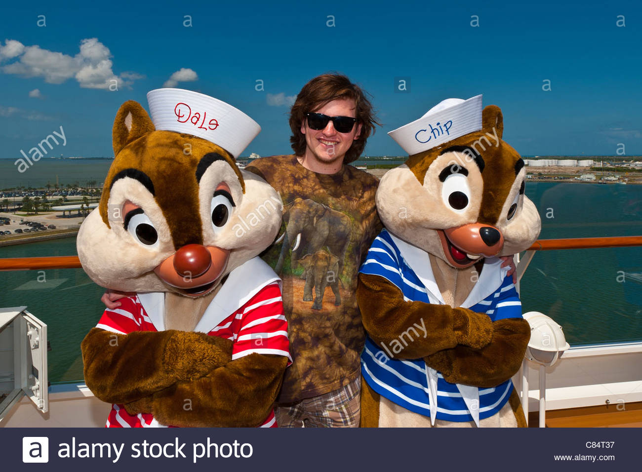 Chip Dale High Resolution Stock Photography and Images - Alamy