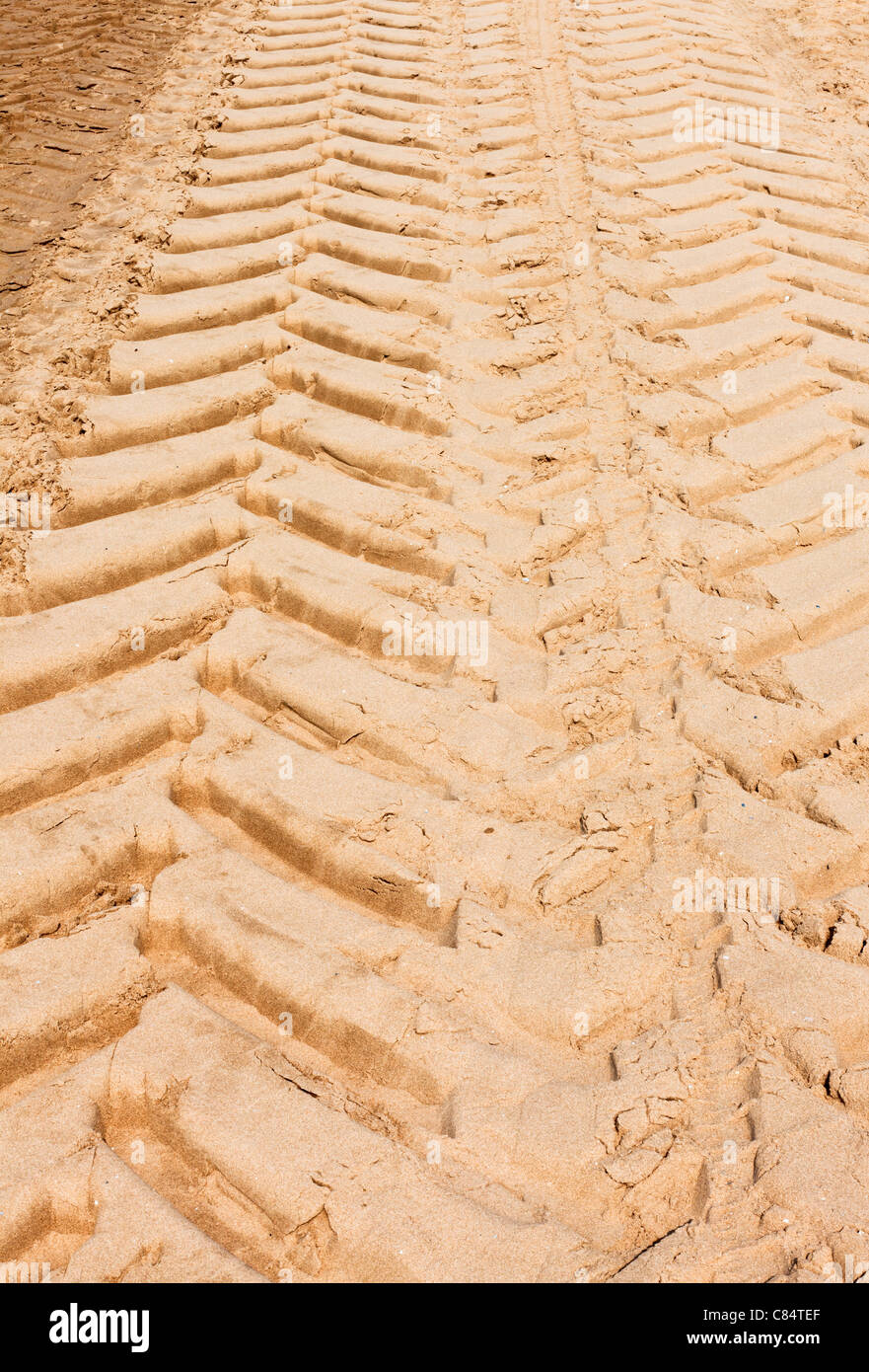 Tractor tire tracks on beach sand. Vertical shot Stock Photo - Alamy