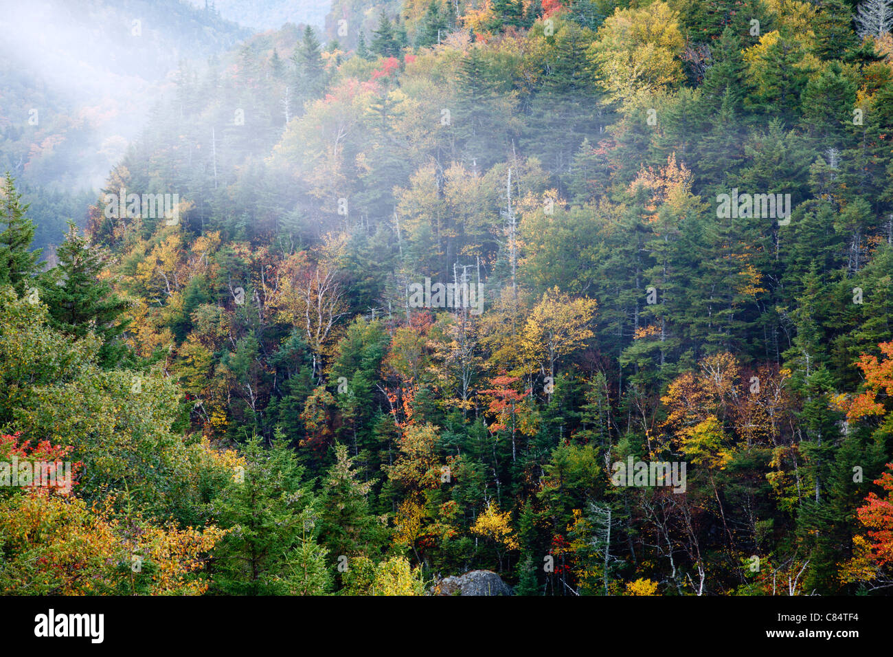 Crawford Notch State Park of the White Mountain National Forest of New ...