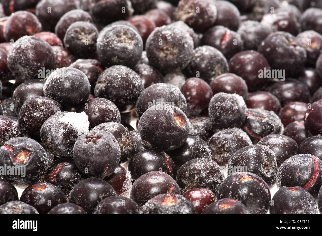 object on white - food chokeberry in ice Stock Photo - Alamy