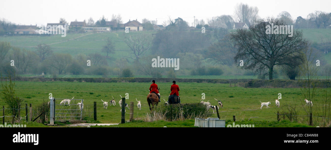 Fox Chase Hunt High Resolution Stock Photography and Images - Alamy