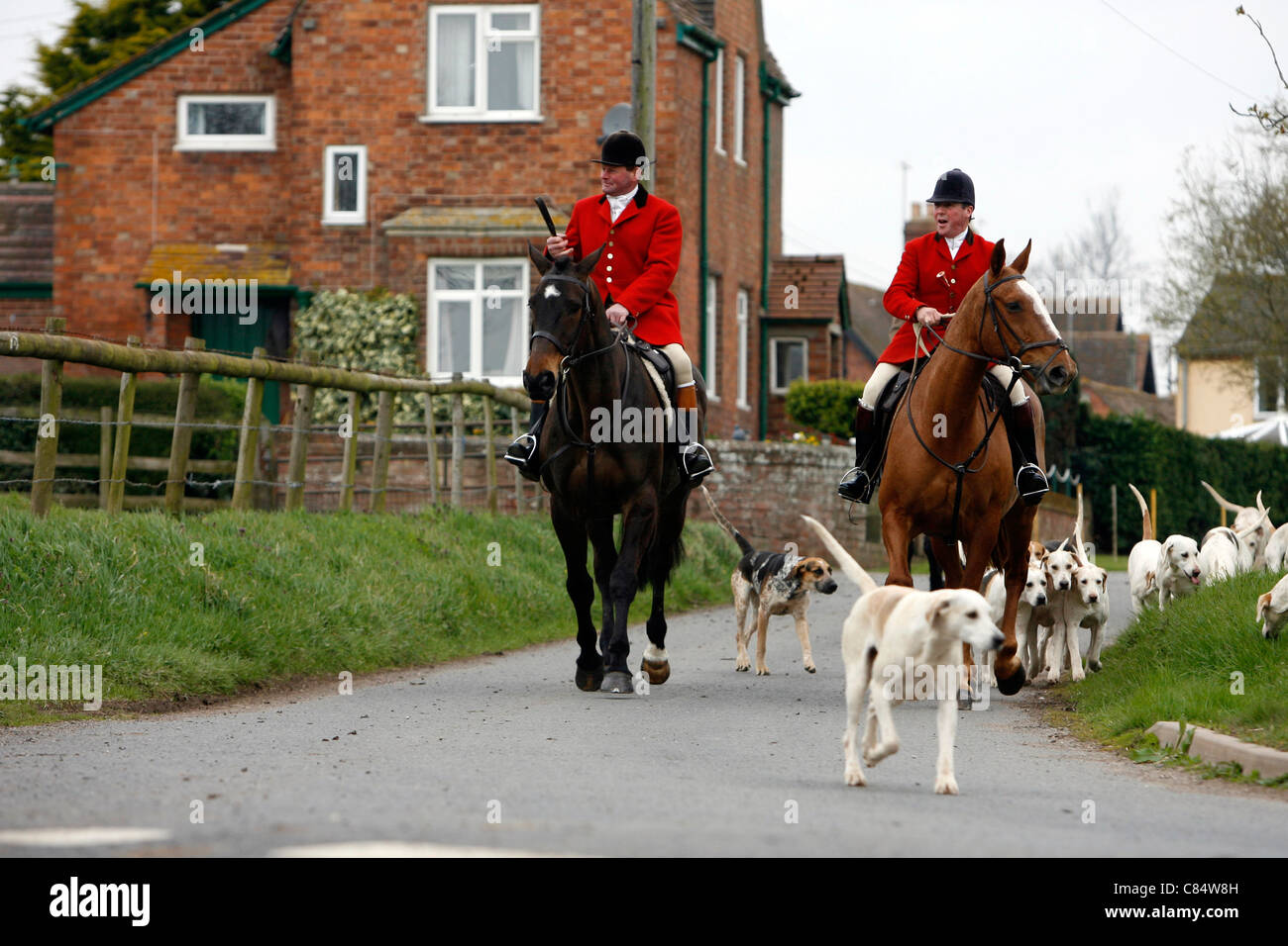 Fox Chase Hunt High Resolution Stock Photography and Images - Alamy