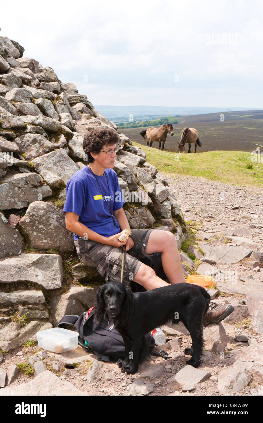 A walker and her dog enjoying lunch while watching Exmoor ponies at ...