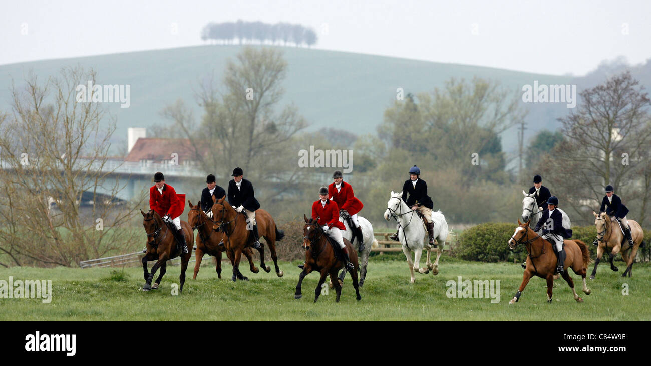 Fox Chase Hunt High Resolution Stock Photography and Images - Alamy