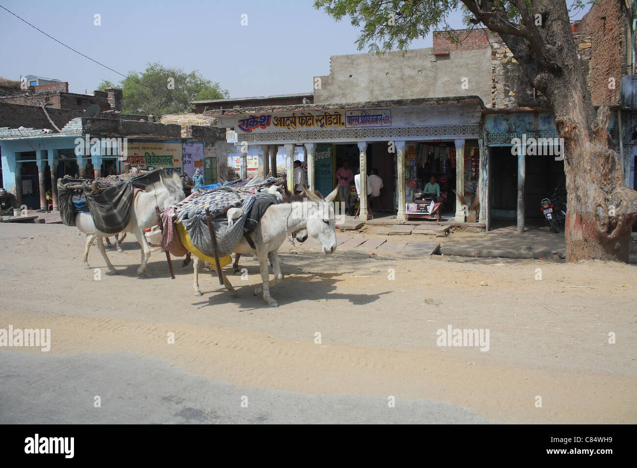 working donkey carrying load in india street Stock Photo - Alamy