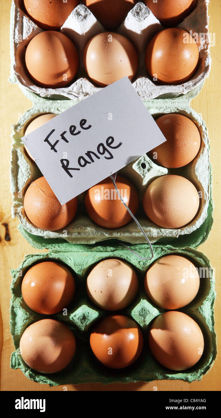 Free Range Eggs Box Stock Photos & Free Range Eggs Box Stock Images - Alamy