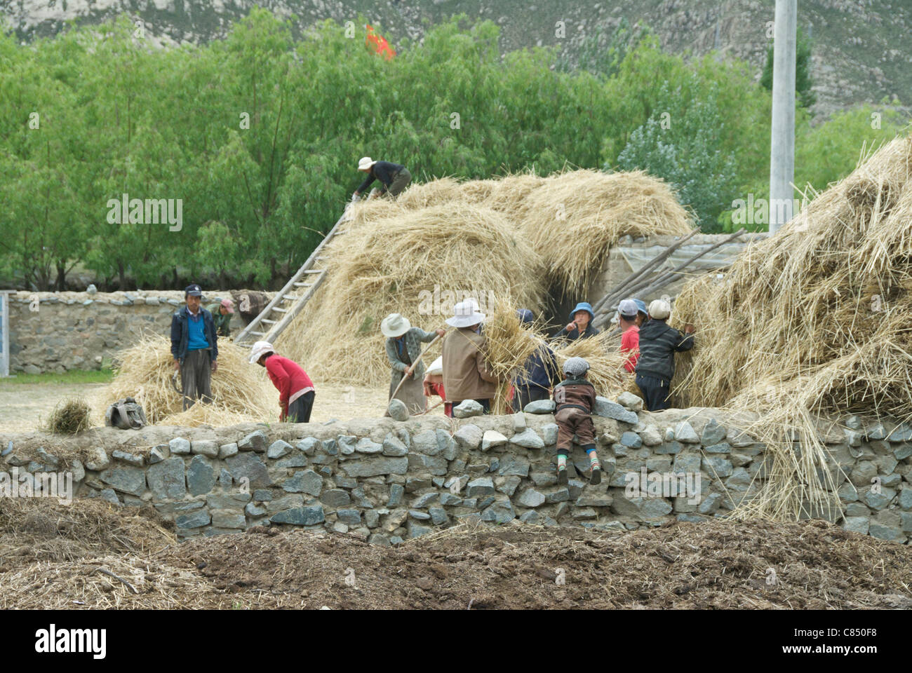 Tibet farming hi-res stock photography and images - Alamy