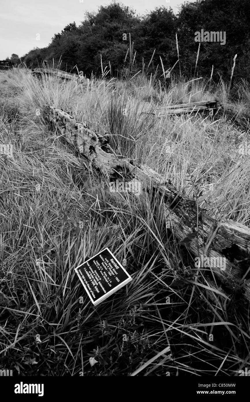 Purton Hulks ship graveyard on the banks of the River Severn in ...